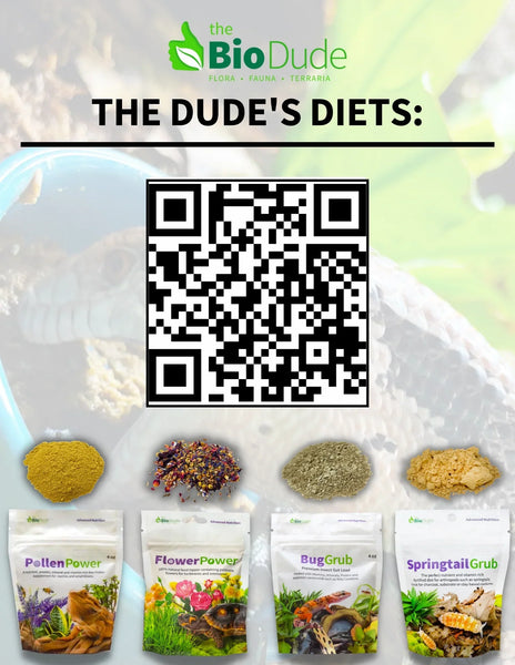 The Dude's Diets....Explained – The Bio Dude