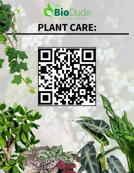 Plants...Explained – The Bio Dude