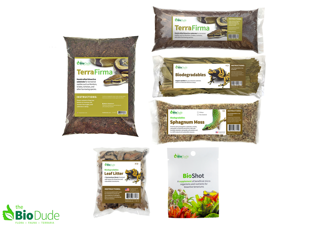 Bioactive Terrarium Starter Kits | Bio Dude – The Bio Dude