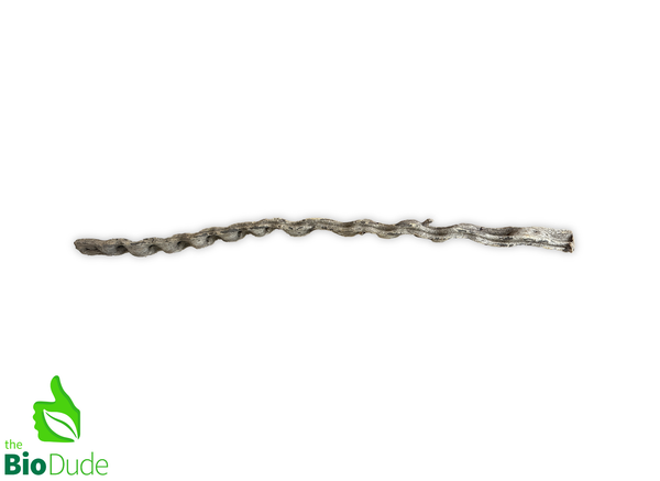 Jungle Branch – The Bio Dude